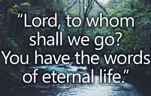 His Time - Daily Lectionary: John 6:60-71 - KFUO Radio