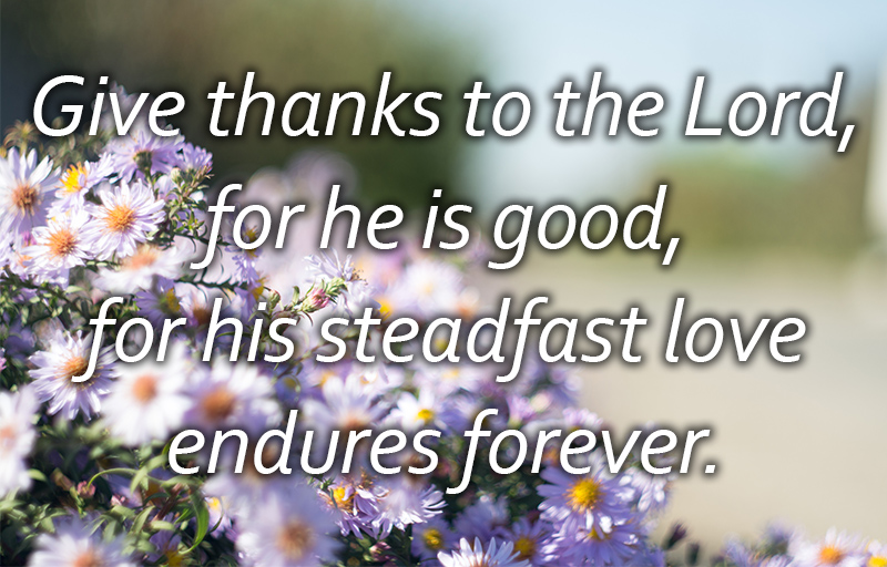 His Time Scripture Studies Psalm 136 Proverbs 4 KFUO Radio