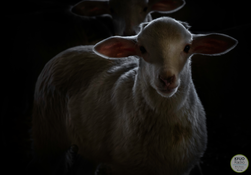 Thy Strong Word — Exodus 12:1-28: The Passover and the Blood of the Lamb - KFUO Radio