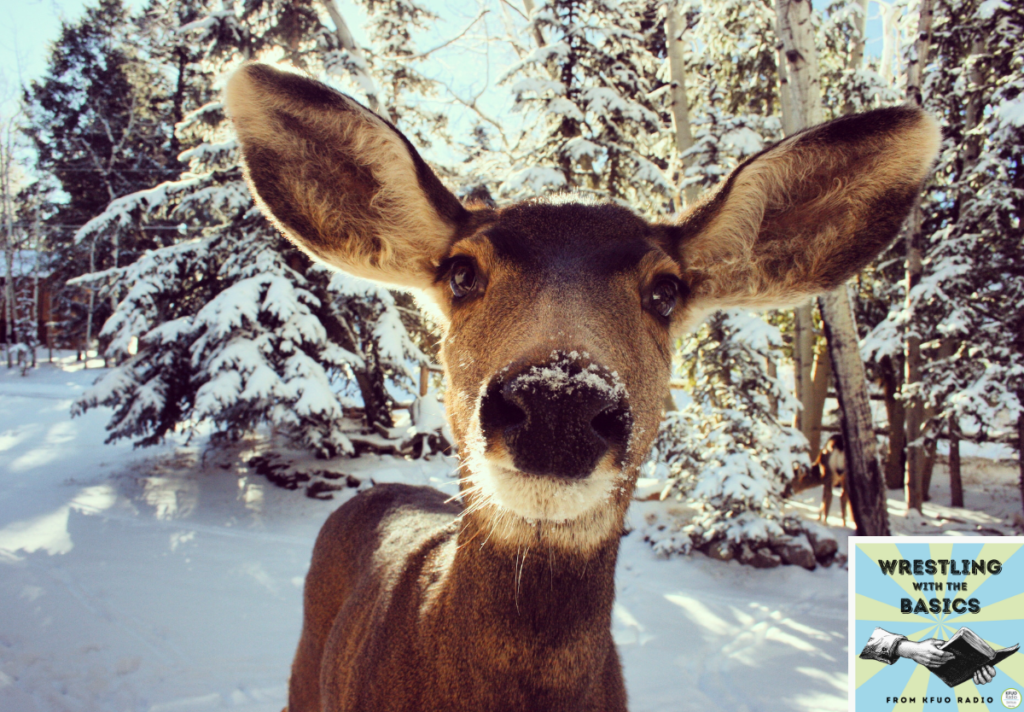 Wrestling With the Basics — Matthew 25: Sheep and the Goats & Reindeers ...