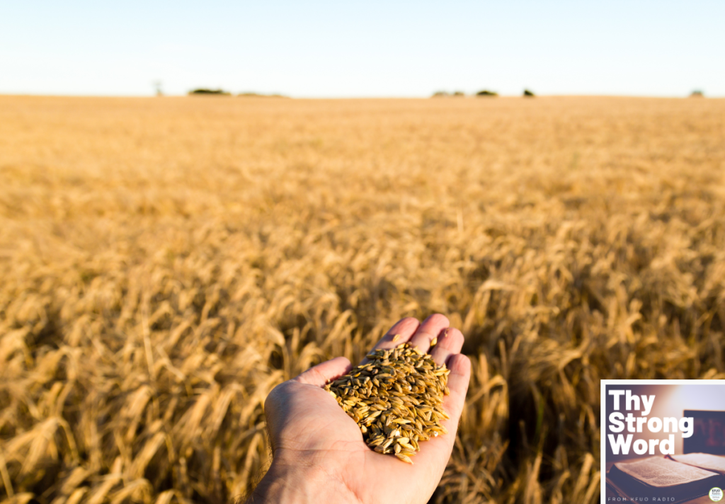 Thy Strong Word — Deuteronomy 26: First Fruits and Tithes - KFUO Radio