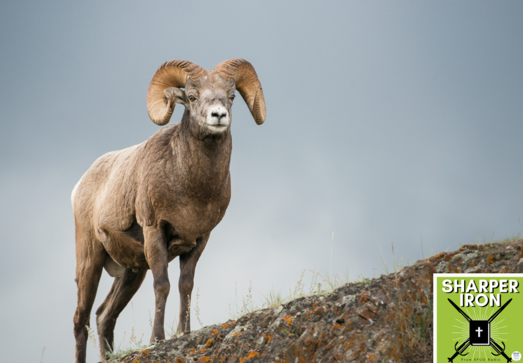 Sharper Iron — God’s Kingdom Endures Forever - Daniel 8:1-27: A Ram, a ...