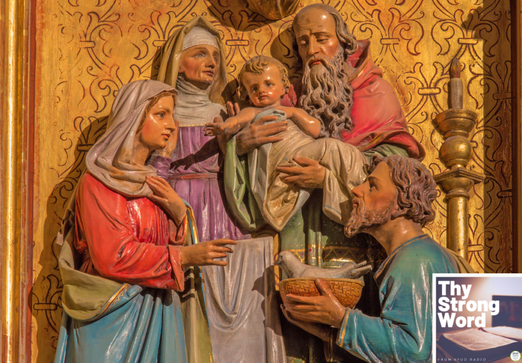 Thy Strong Word — Luke 2:22-40: Redeeming the Redeemer (Baby Jesus at ...