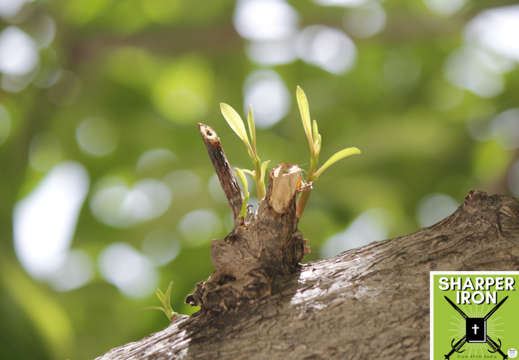 Sharper Iron — The Fifth Evangelist - Isaiah 11:1-16: The Shoot from ...