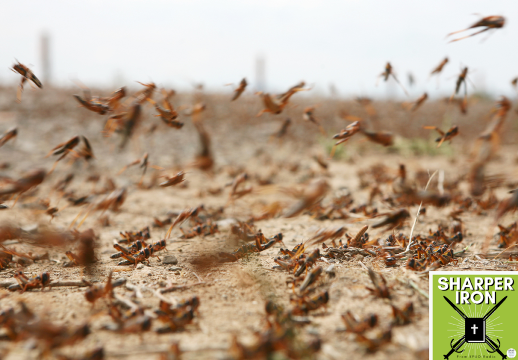 Sharper Iron — Majoring in the Minors - Joel 1:1-20: Locusts, Locusts ...