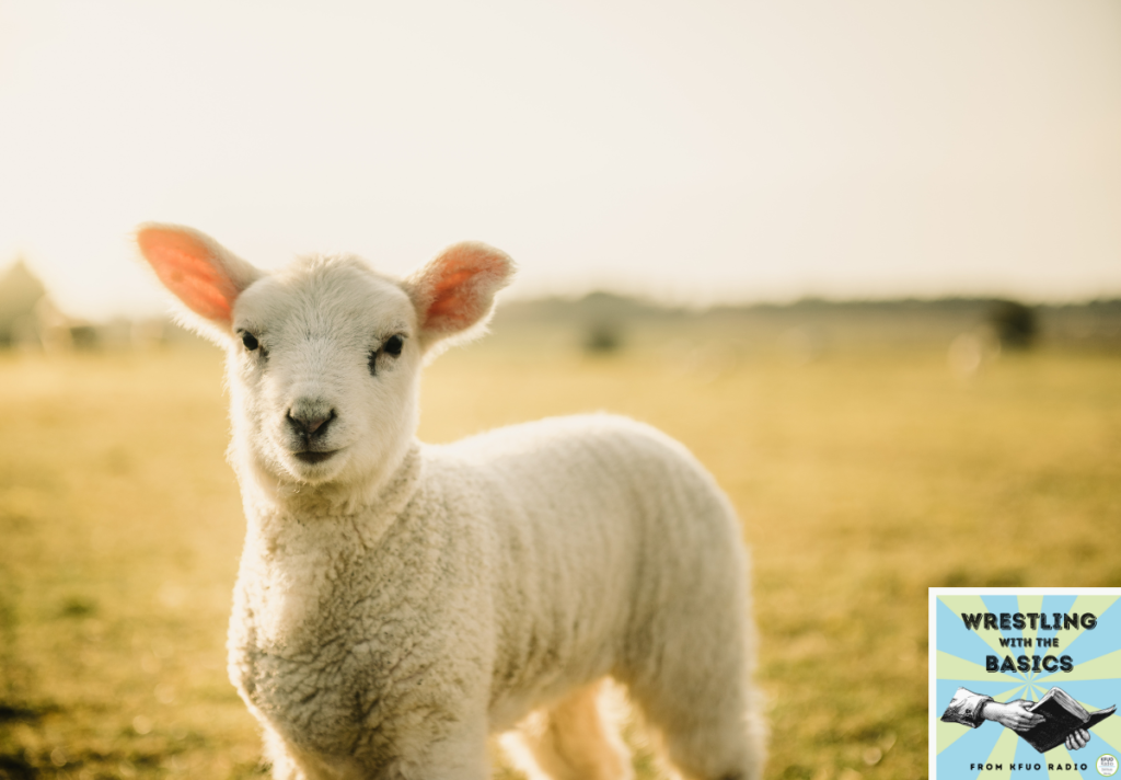 Wrestling With the Basics — Behold the Lamb - KFUO Radio